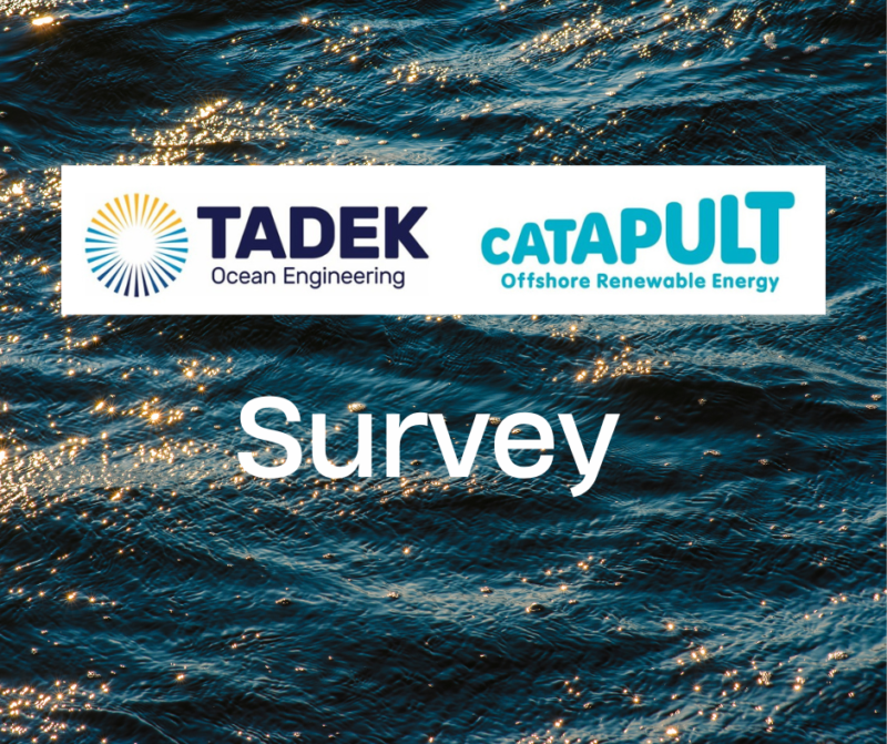Survey on Dynamic Cable Interface Solutions for FOW
